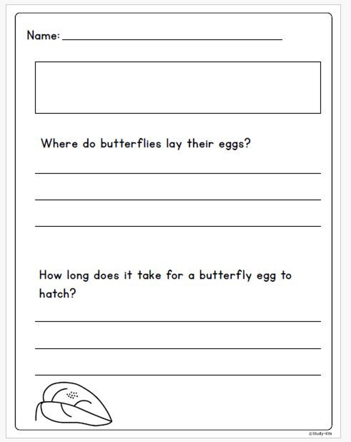 Life Cycle of a Butterfly - Educational Craft & Research Report - Etsy