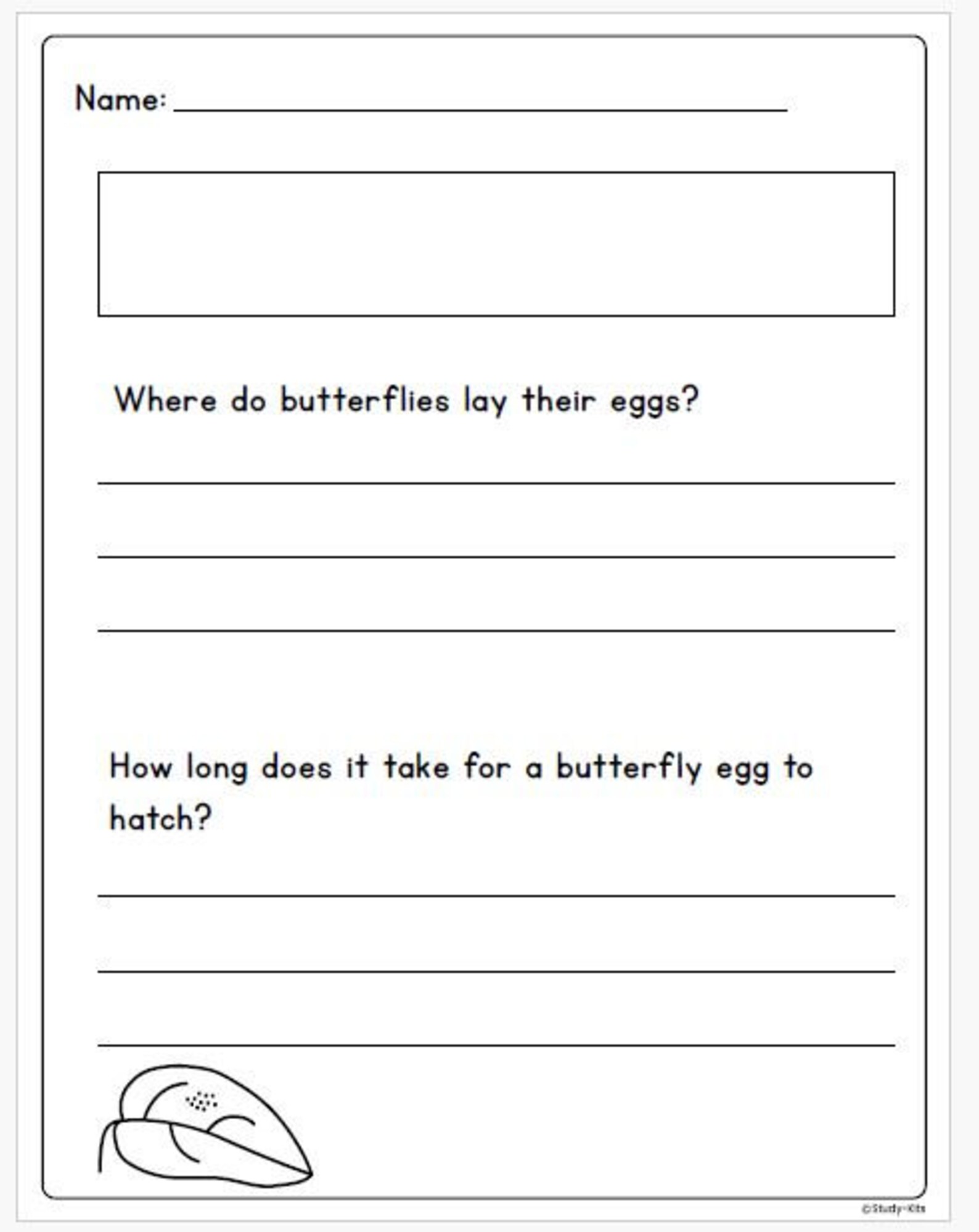 Life Cycle of a Butterfly - Educational Craft & Research Report - Etsy