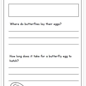 Life Cycle of a Butterfly - Educational Craft & Research Report - Etsy