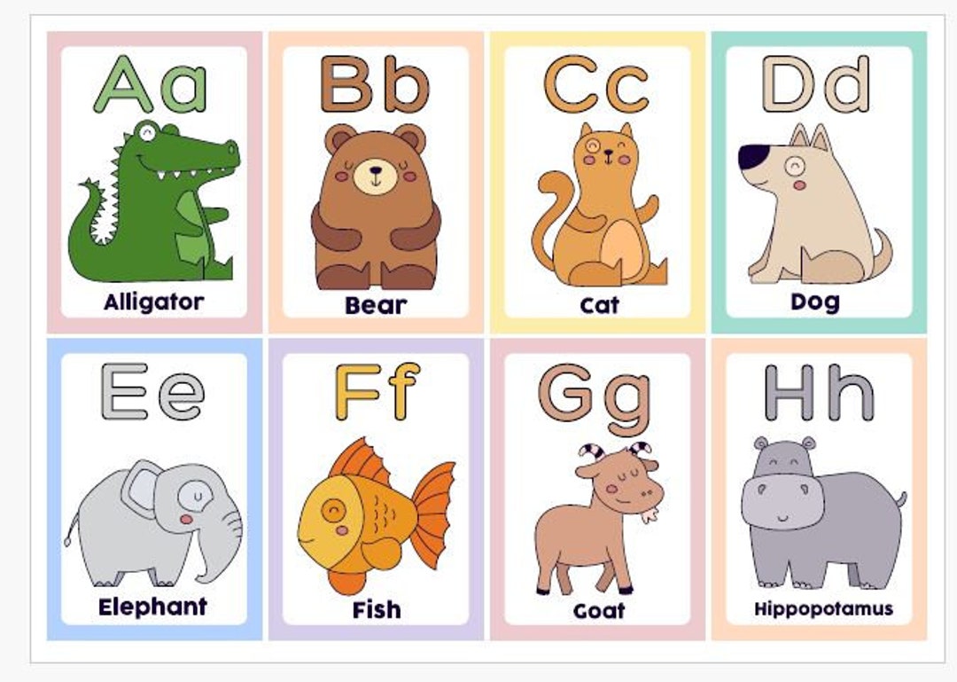 133-page Flash Card Bundle - Digital Download - Educational Flashcards ...