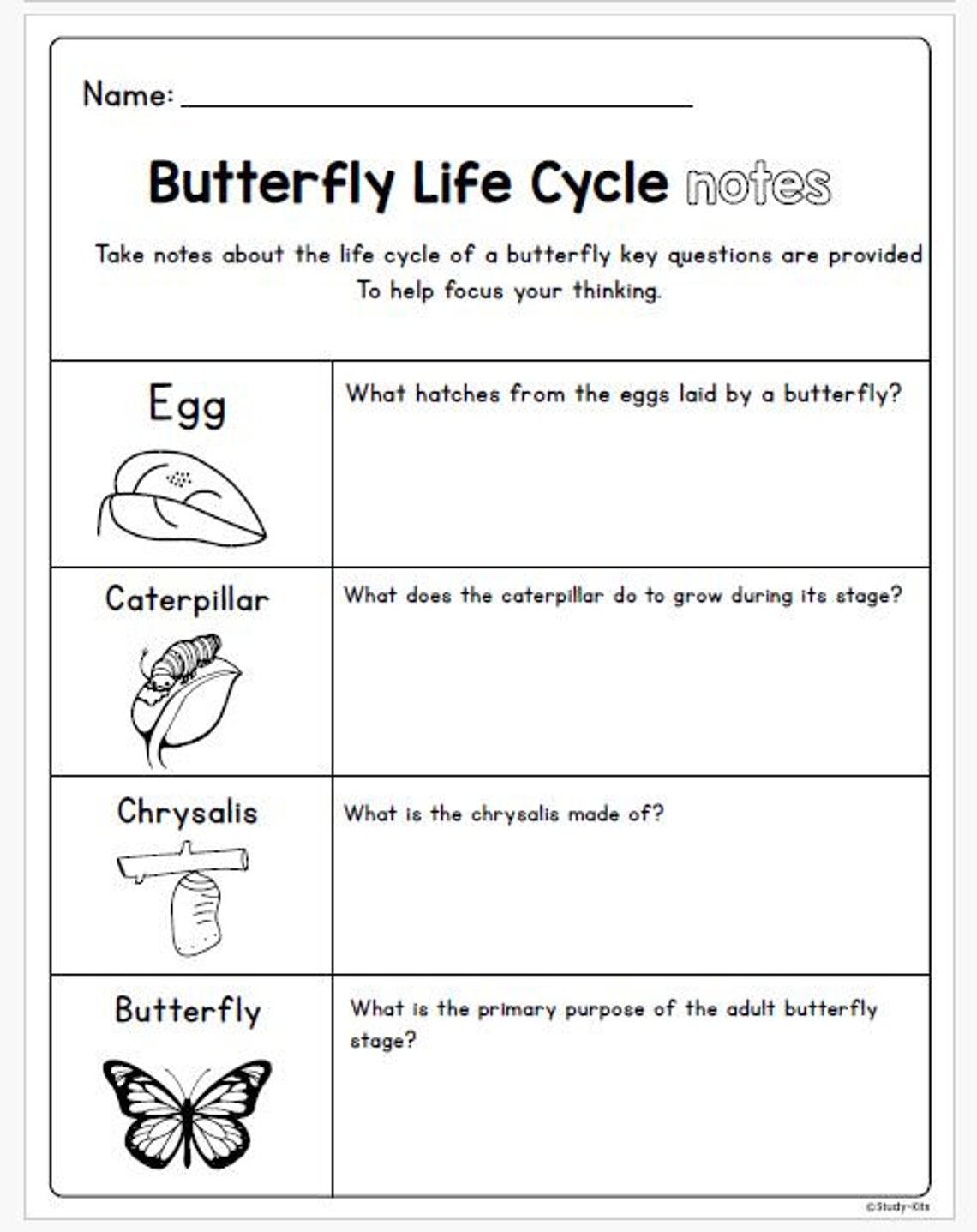 Life Cycle of a Butterfly - Educational Craft & Research Report - Etsy