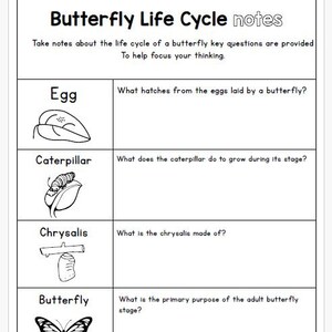 Life Cycle of a Butterfly - Educational Craft & Research Report - Etsy