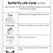 Life Cycle of a Butterfly - Educational Craft & Research Report - Etsy
