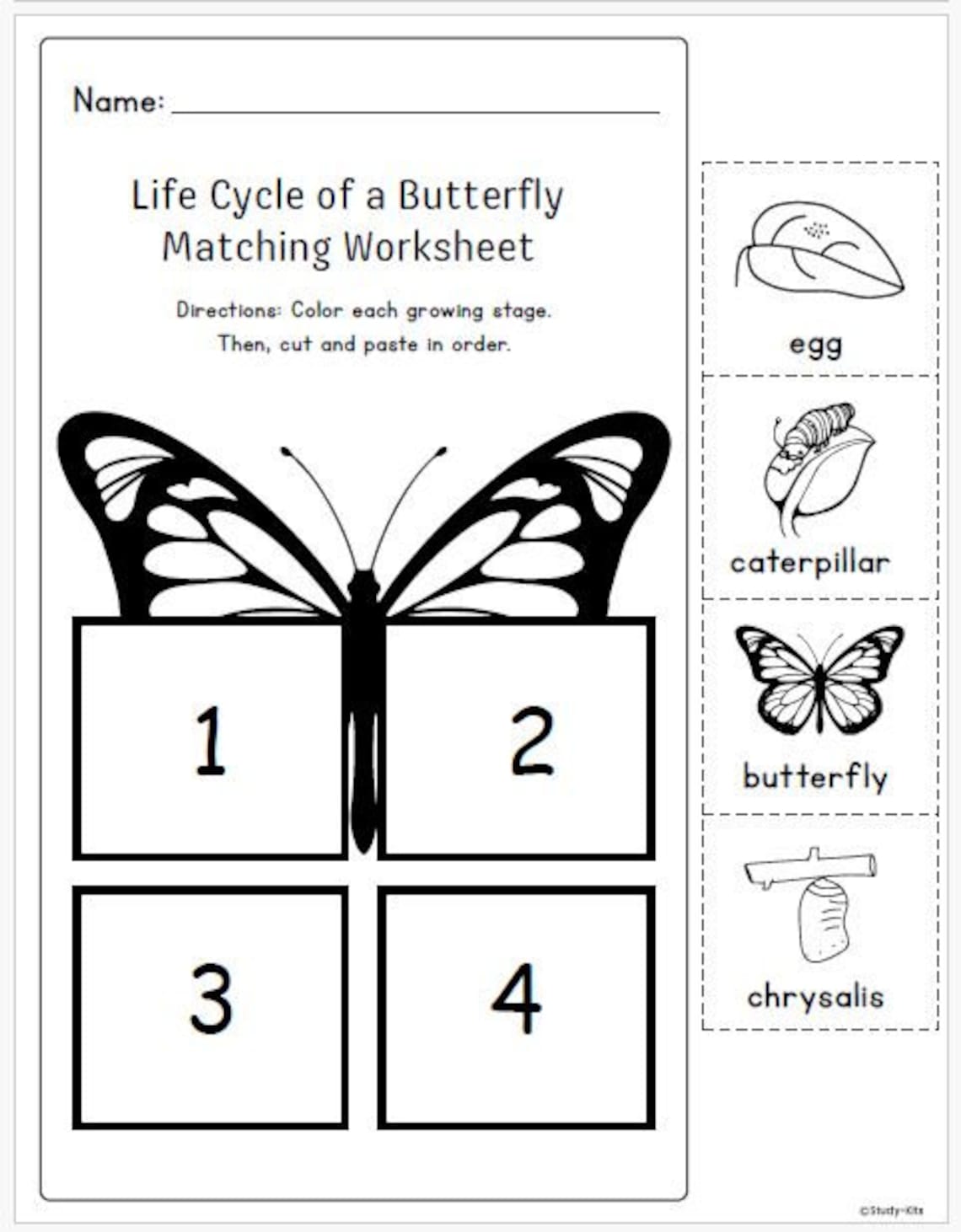 Life Cycle of a Butterfly - Educational Craft & Research Report - Etsy