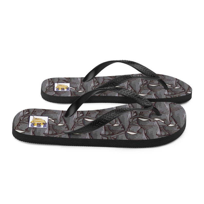 Basking Shark Flip Flops, Flip-flops, Elasmobranch, Shark Research ...