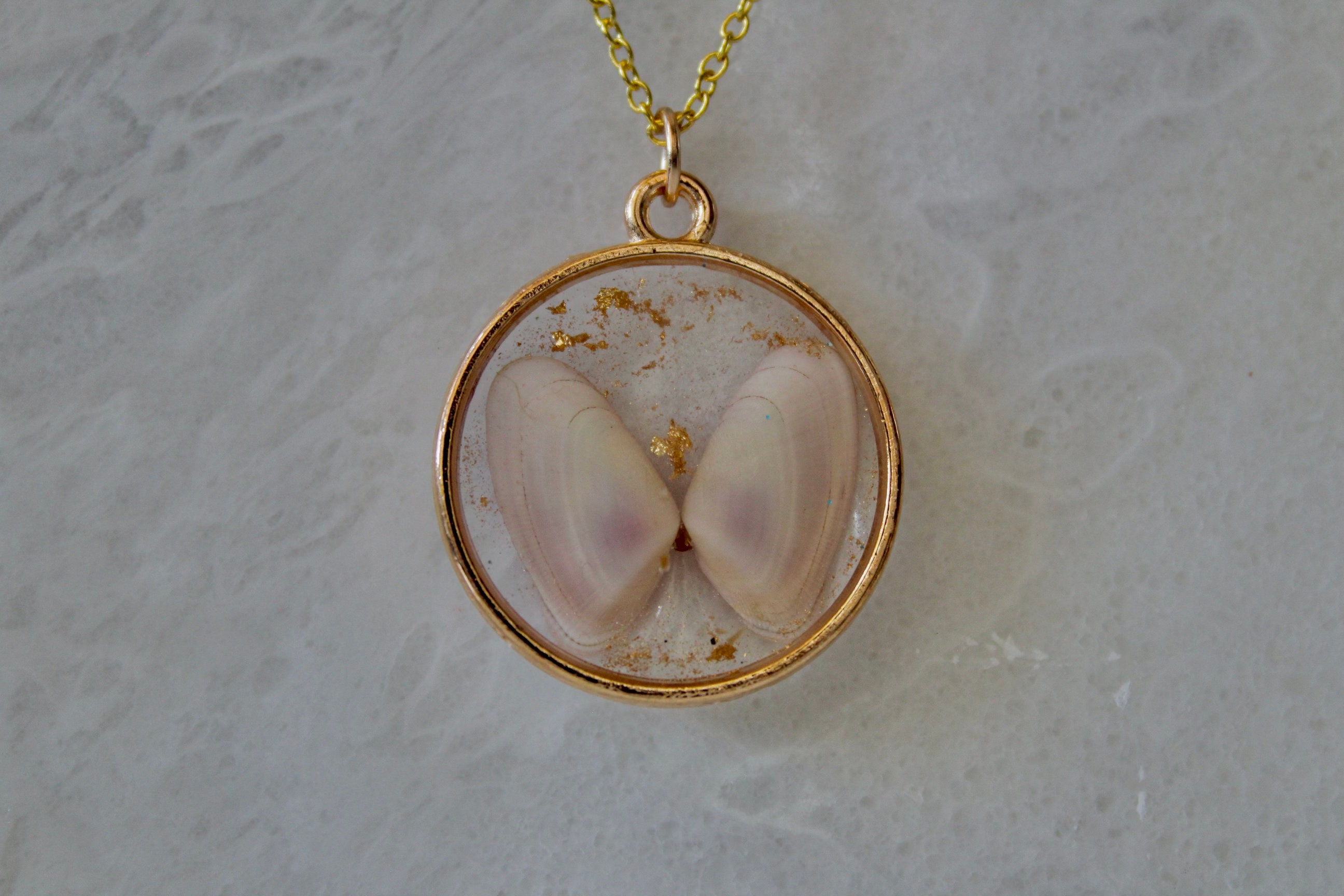 Coquina Clam Shell Resin Necklace - Etsy