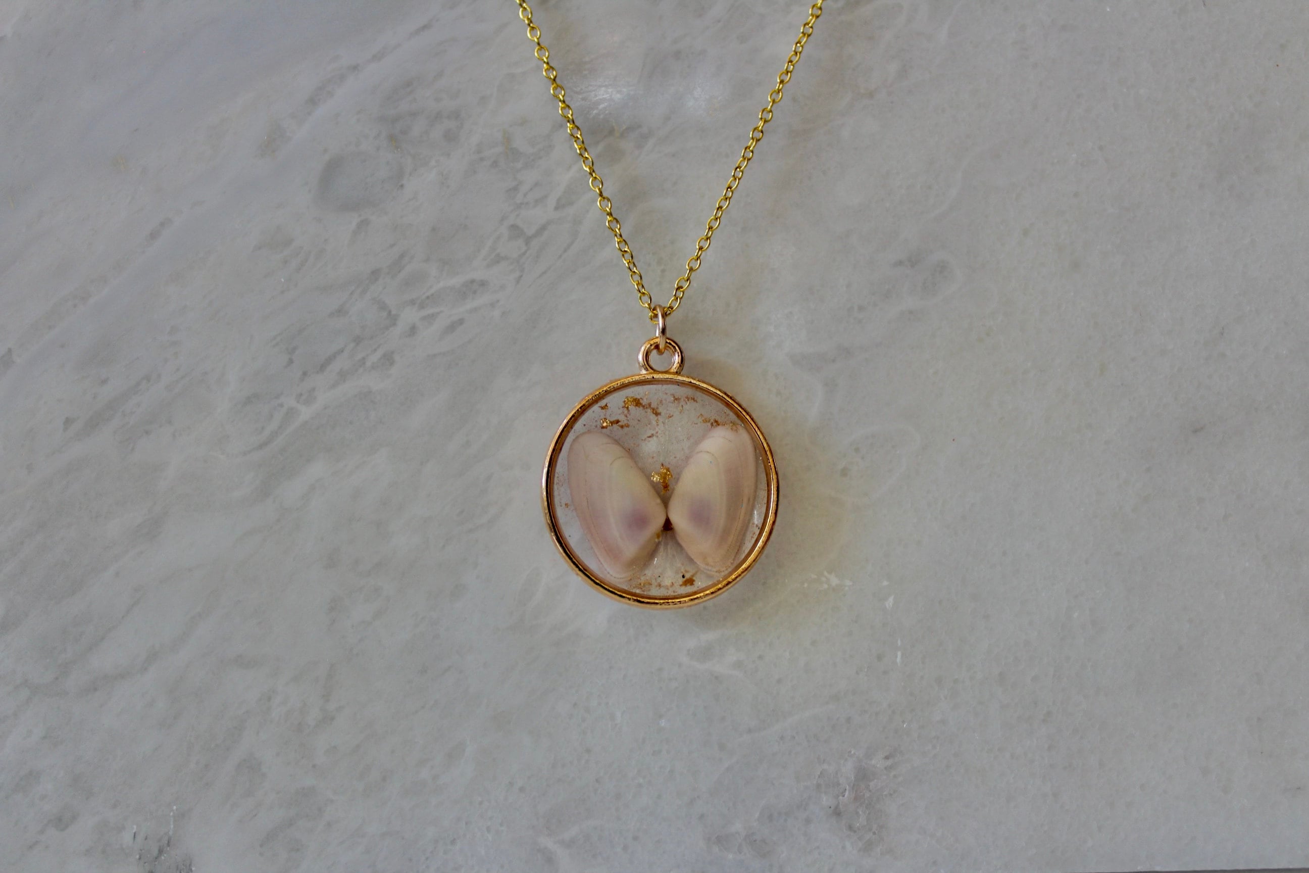 Coquina Clam Shell Resin Necklace - Etsy