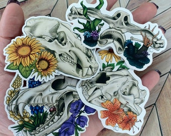 Animal Skull Sticker Pack 2 Four Matte Vinyl Stickers - Etsy