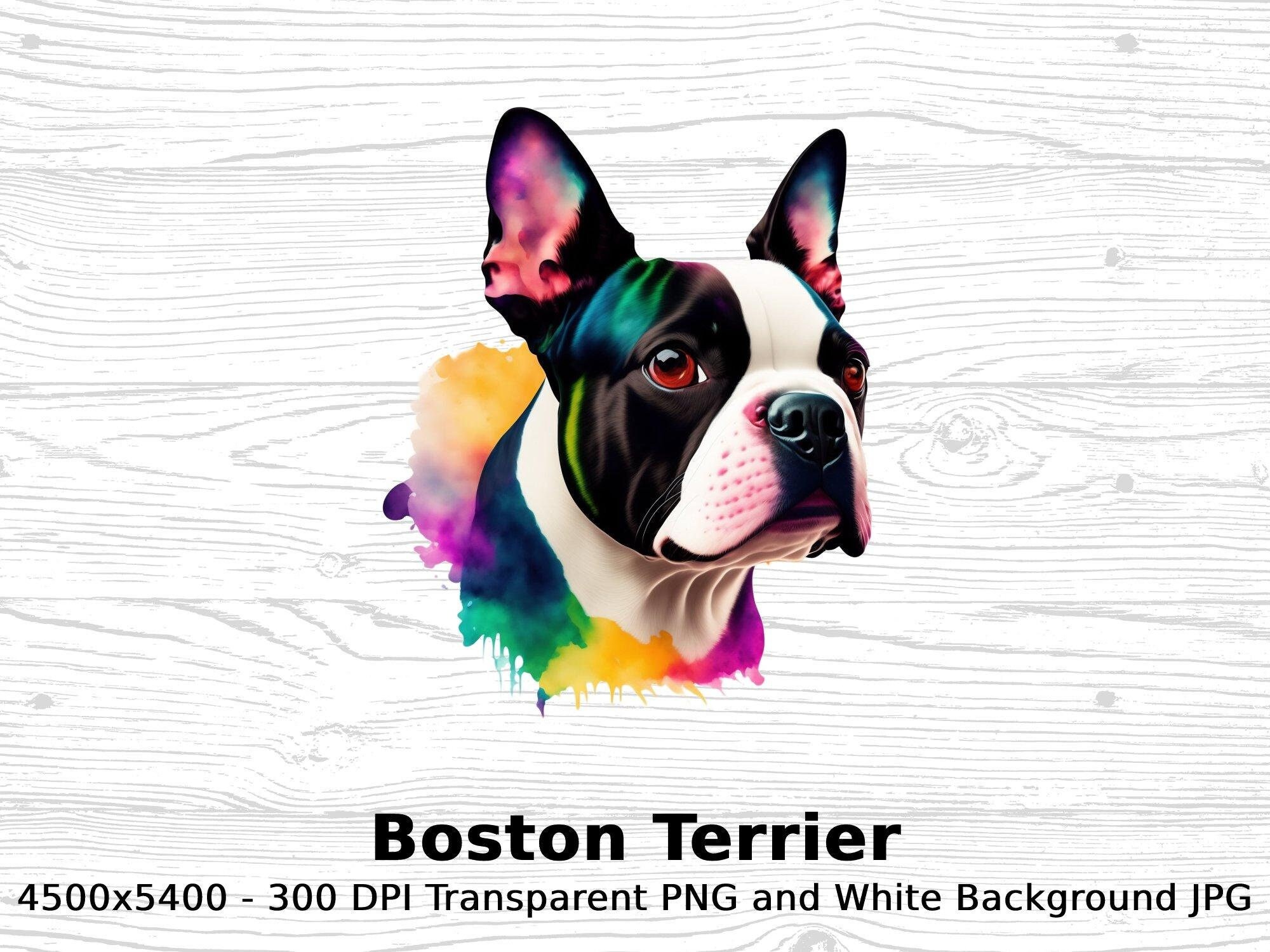 Boston Terrier Art Wallpaper