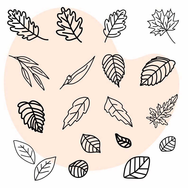 30 DIY Floral Design Bundle Floral Line Art Botanical Line - Etsy