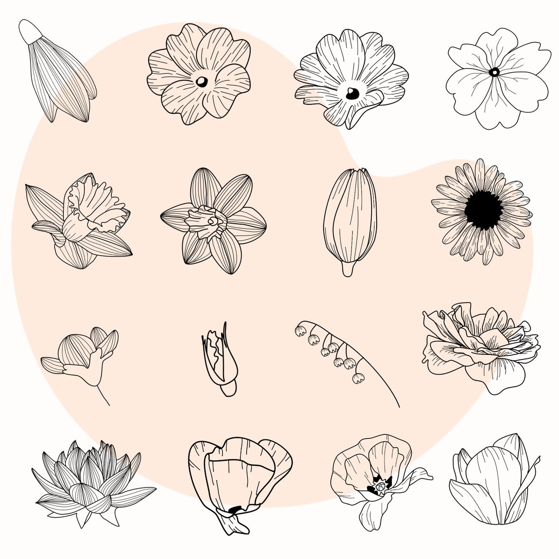 30 DIY Floral Design Bundle | Floral Line Art | Botanical Line Art PNG ...