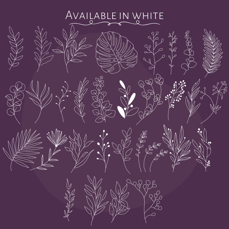 30 Leaves & Sprigs PNG and SVG Bundle | Floral and Botanical Line Art ...
