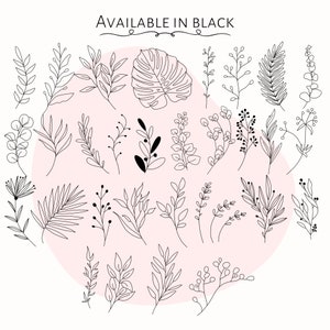 30 Leaves & Sprigs PNG and SVG Bundle | Floral and Botanical Line Art ...