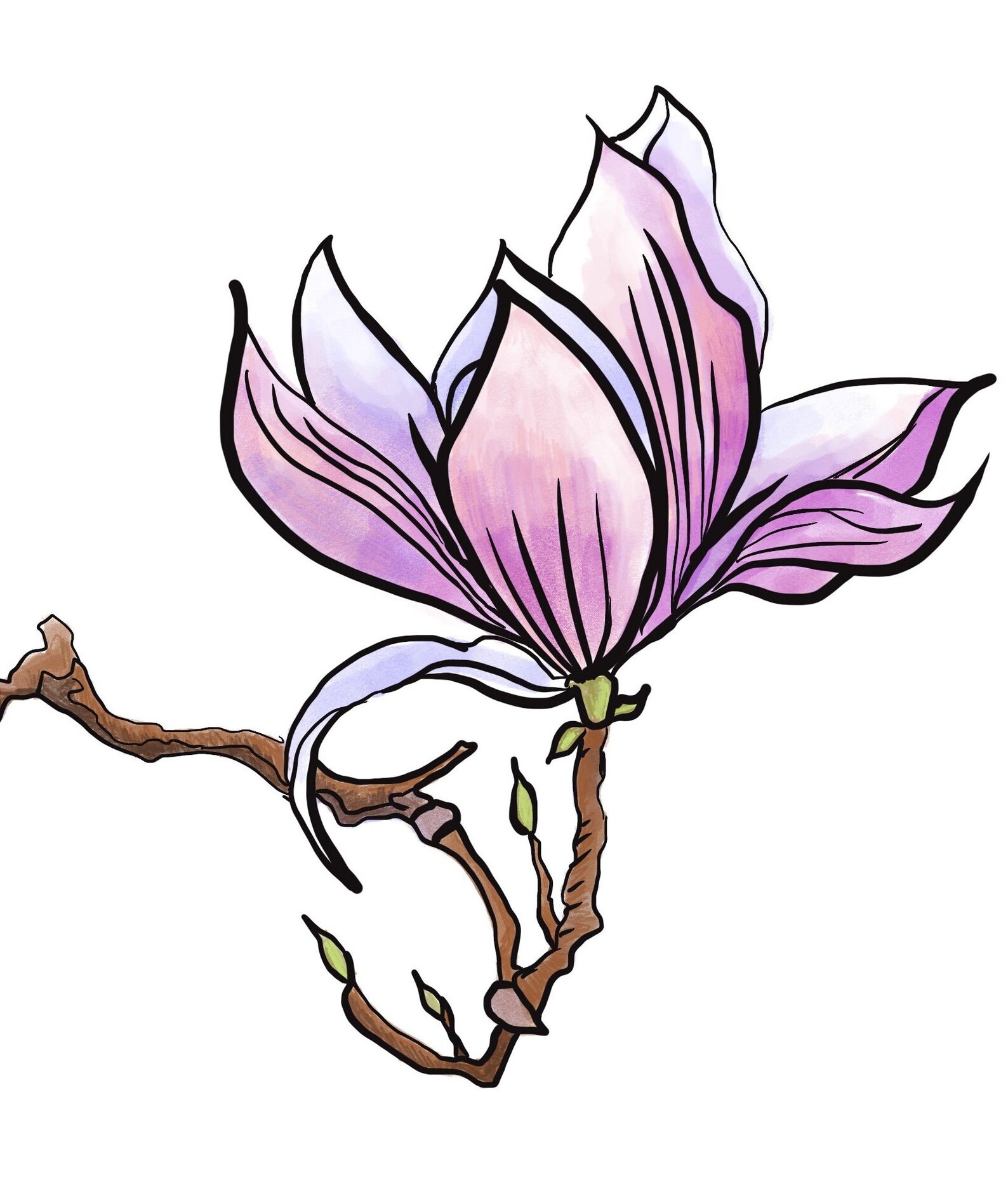 Printable Coloring Page, Magnolia Tree Blossoms, Digital Download, Hand ...