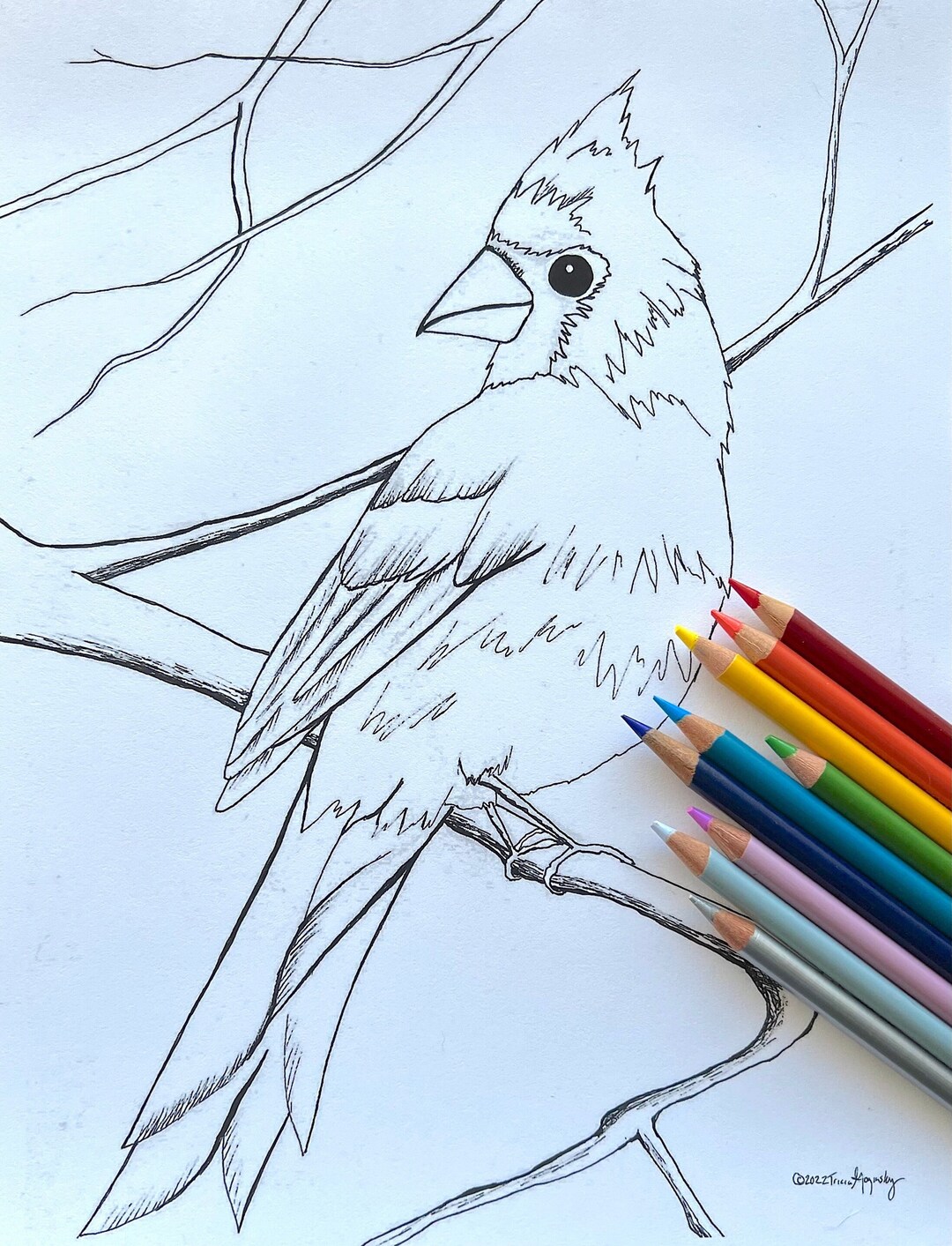 Printable Coloring Page, Winter Trees and Cardinal Bird, Digital ...