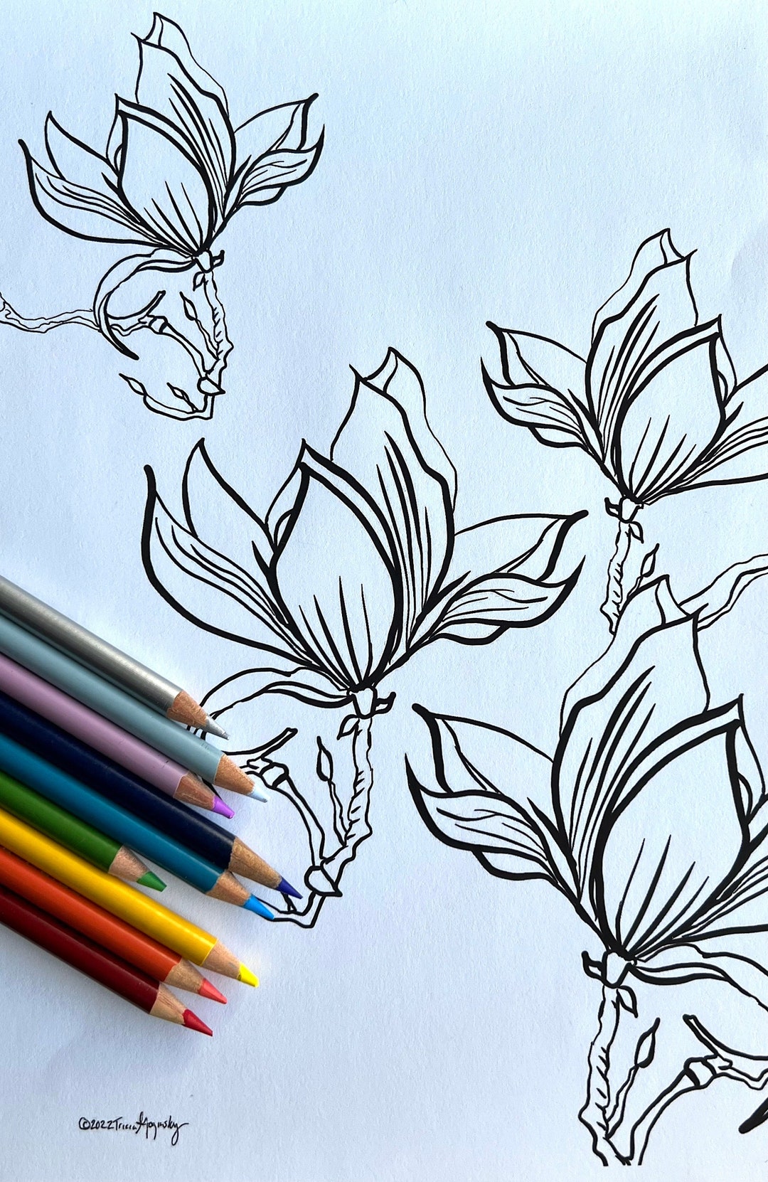 Printable Coloring Page, Magnolia Tree Blossoms, Digital Download, Hand ...