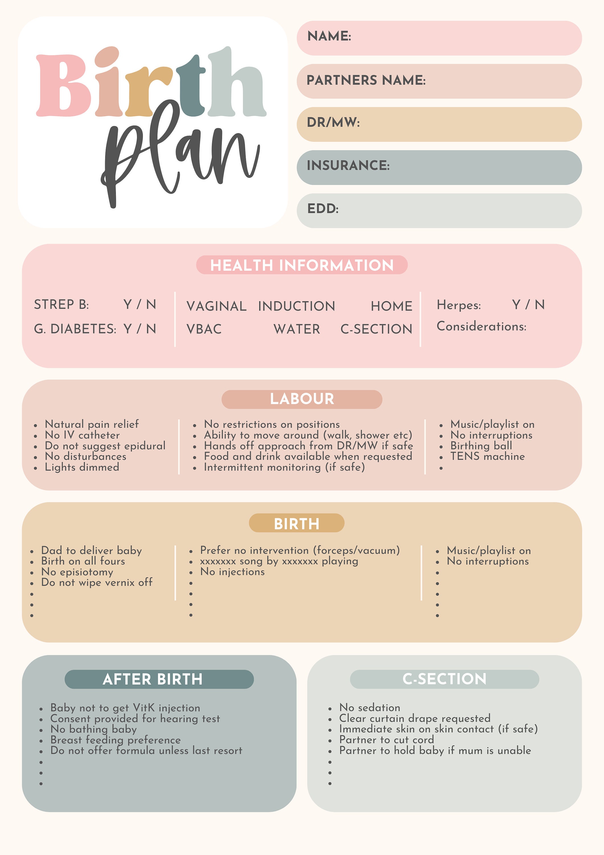 Birth Plan Template Visual Birth Plan Birth Plan Pregnancy Journal ...