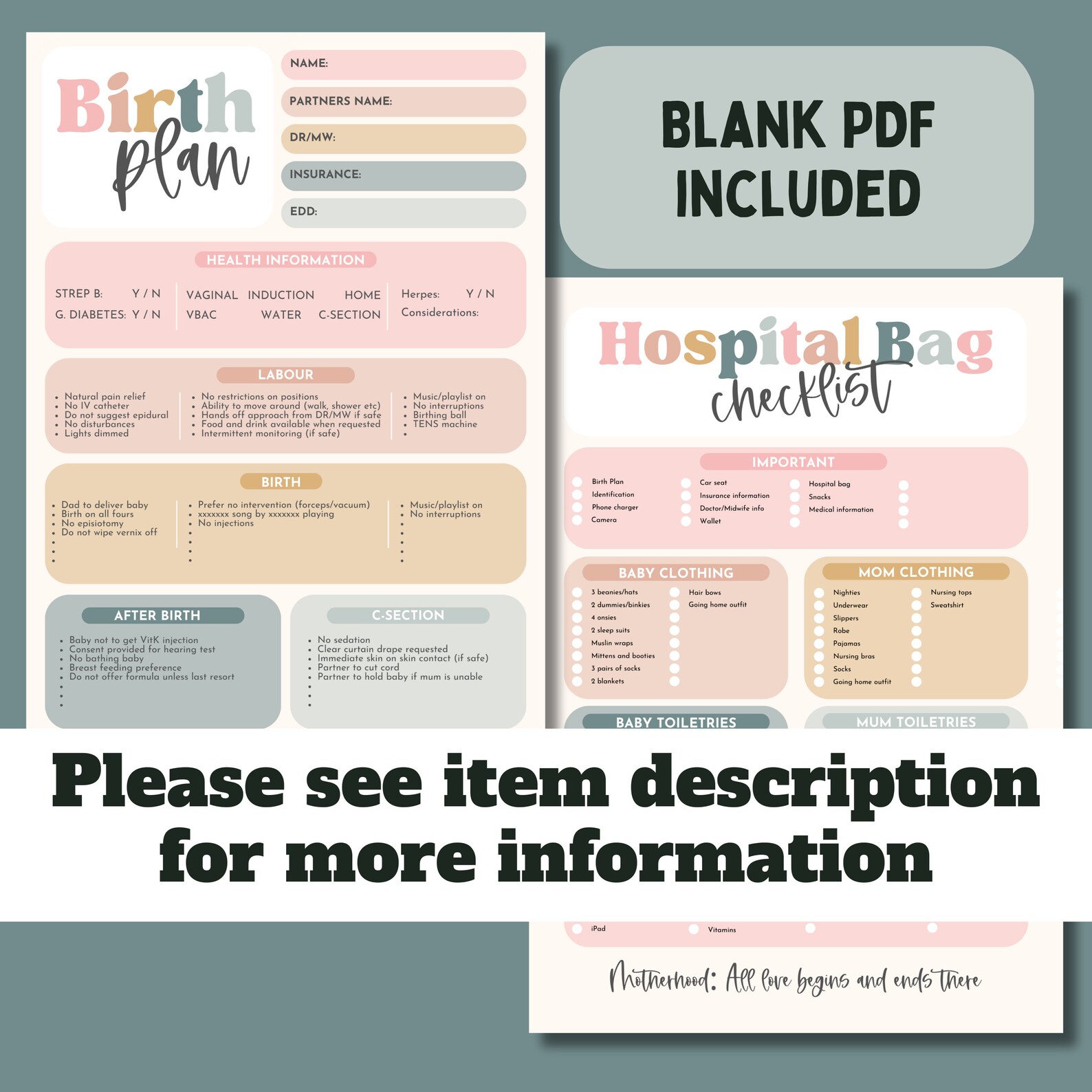 Birth Plan Template Visual Birth Plan Birth Plan Pregnancy Journal ...