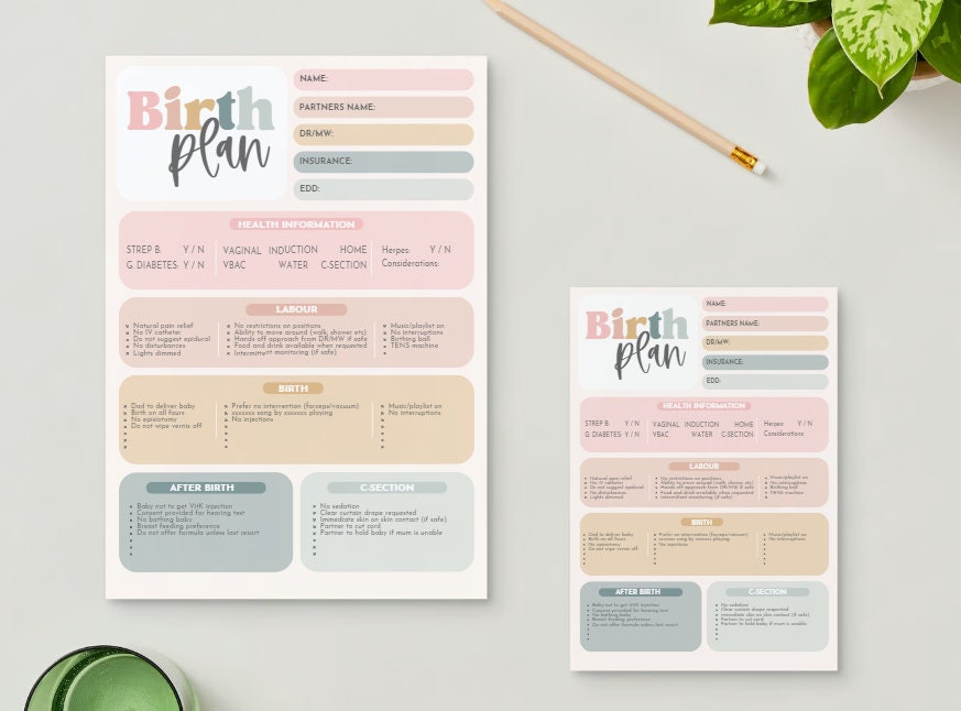 Birth Plan Template Visual Birth Plan Birth Plan Pregnancy Journal ...