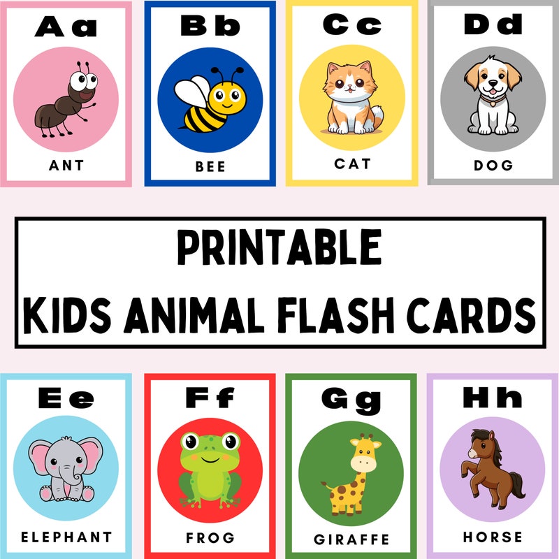 Animal Flash Cards - Etsy