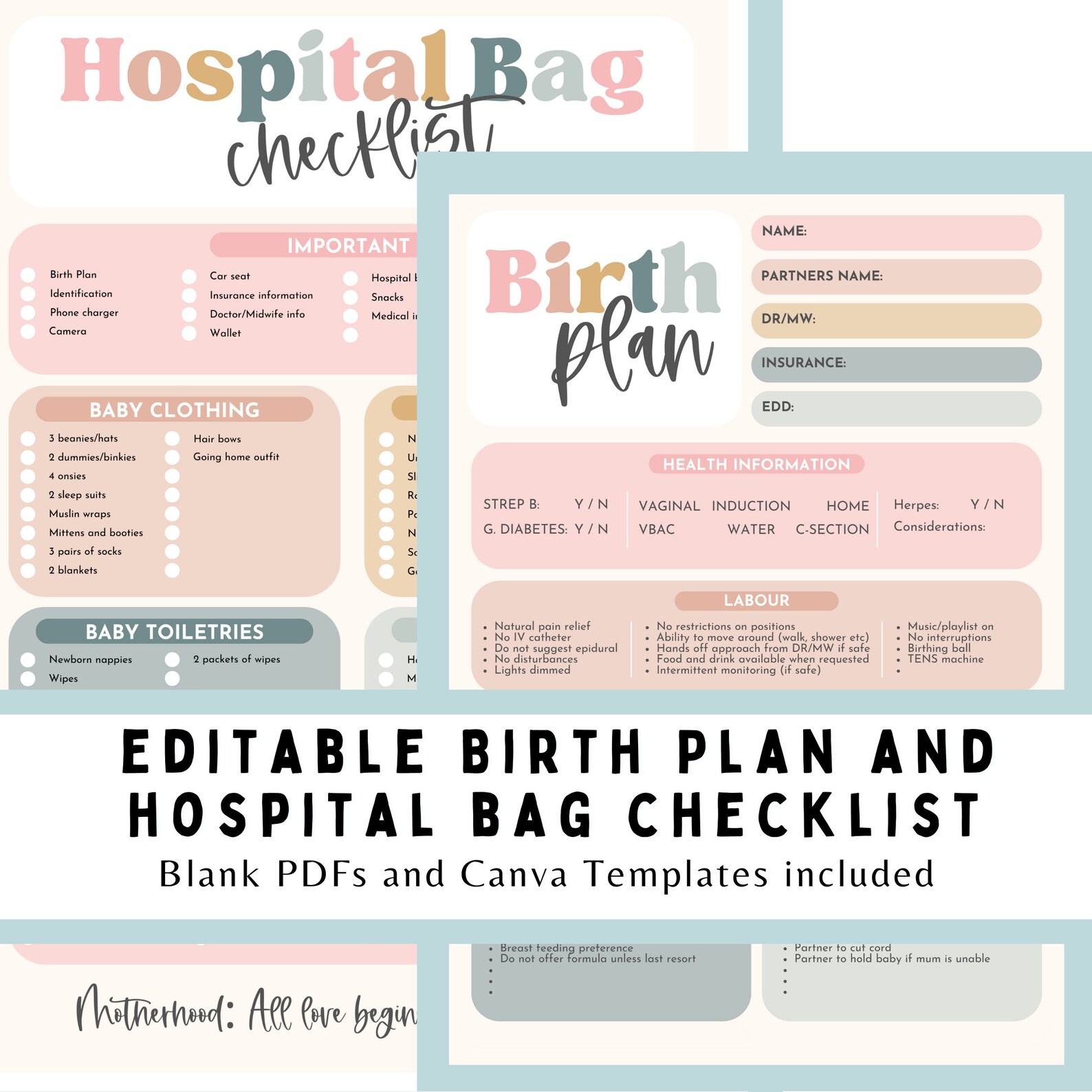 Birth Plan Template Visual Birth Plan Birth Plan Pregnancy Journal ...