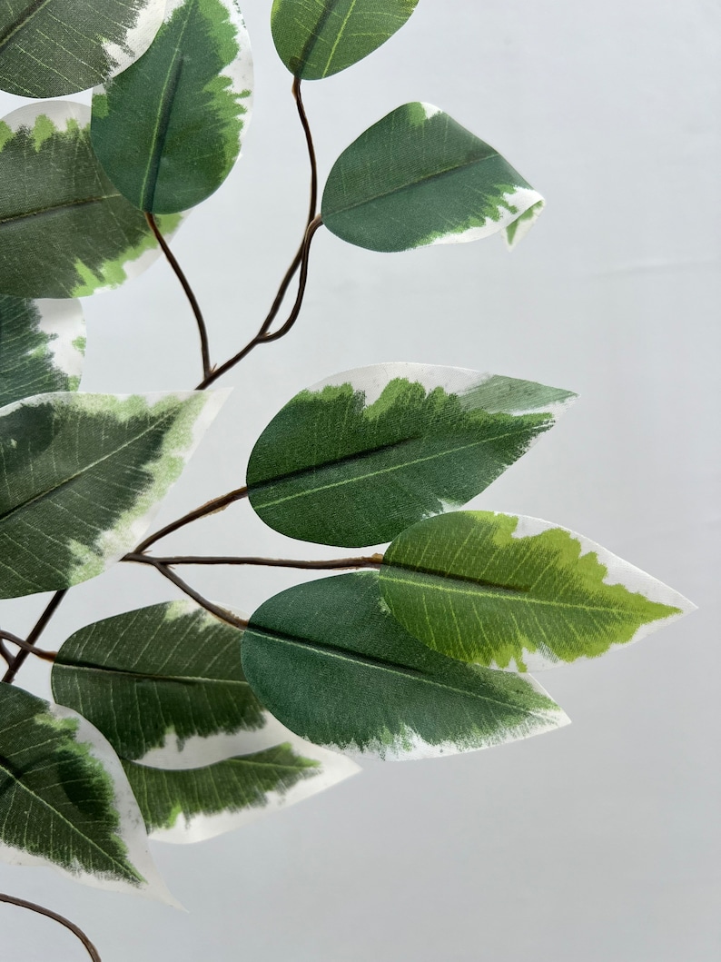 Artificial Variegated Ficus Spray Greenery 23 Pack of - Etsy
