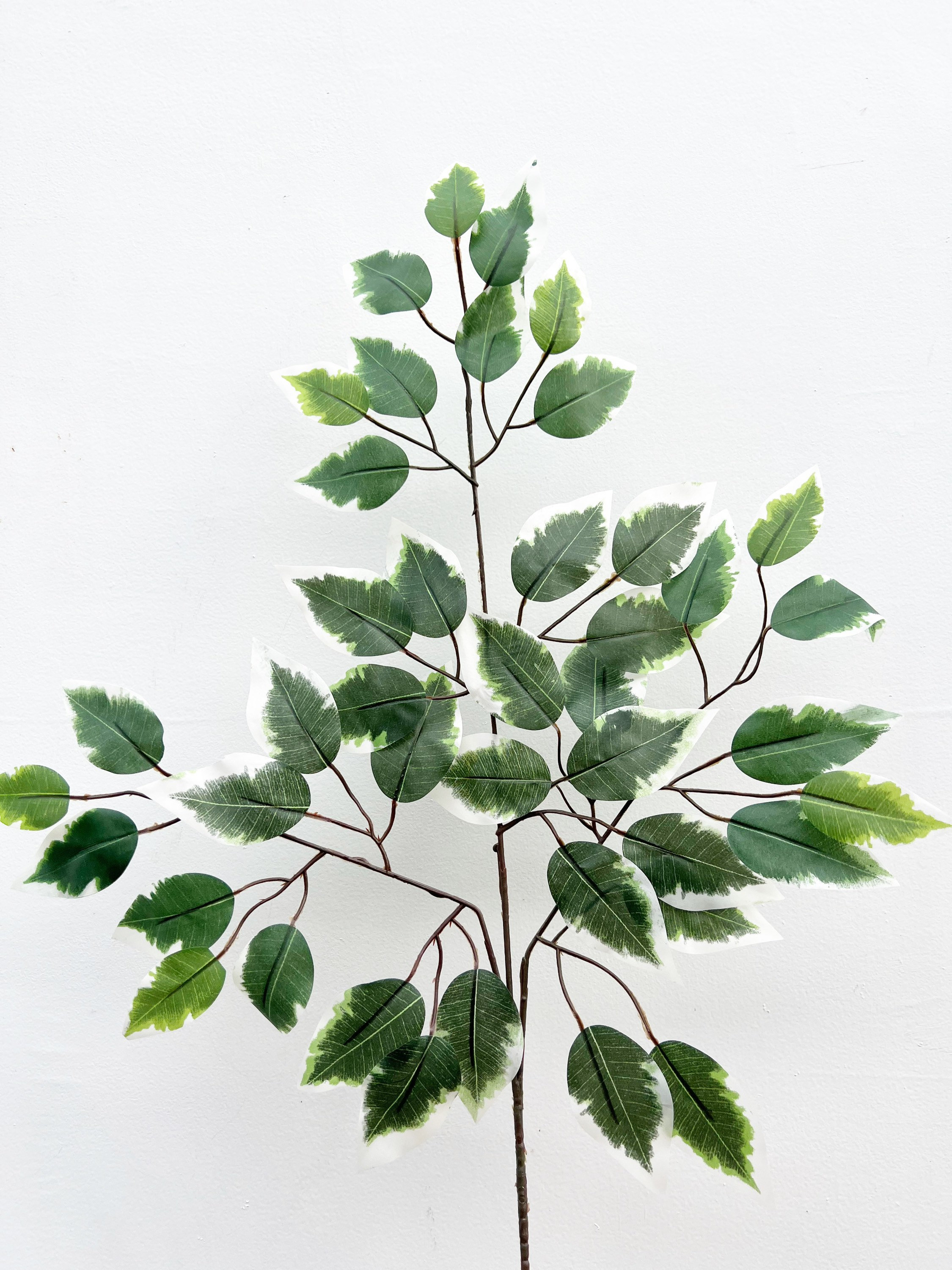 Artificial Variegated Ficus Spray Greenery 23 Pack of 12, Ficus Wreath ...