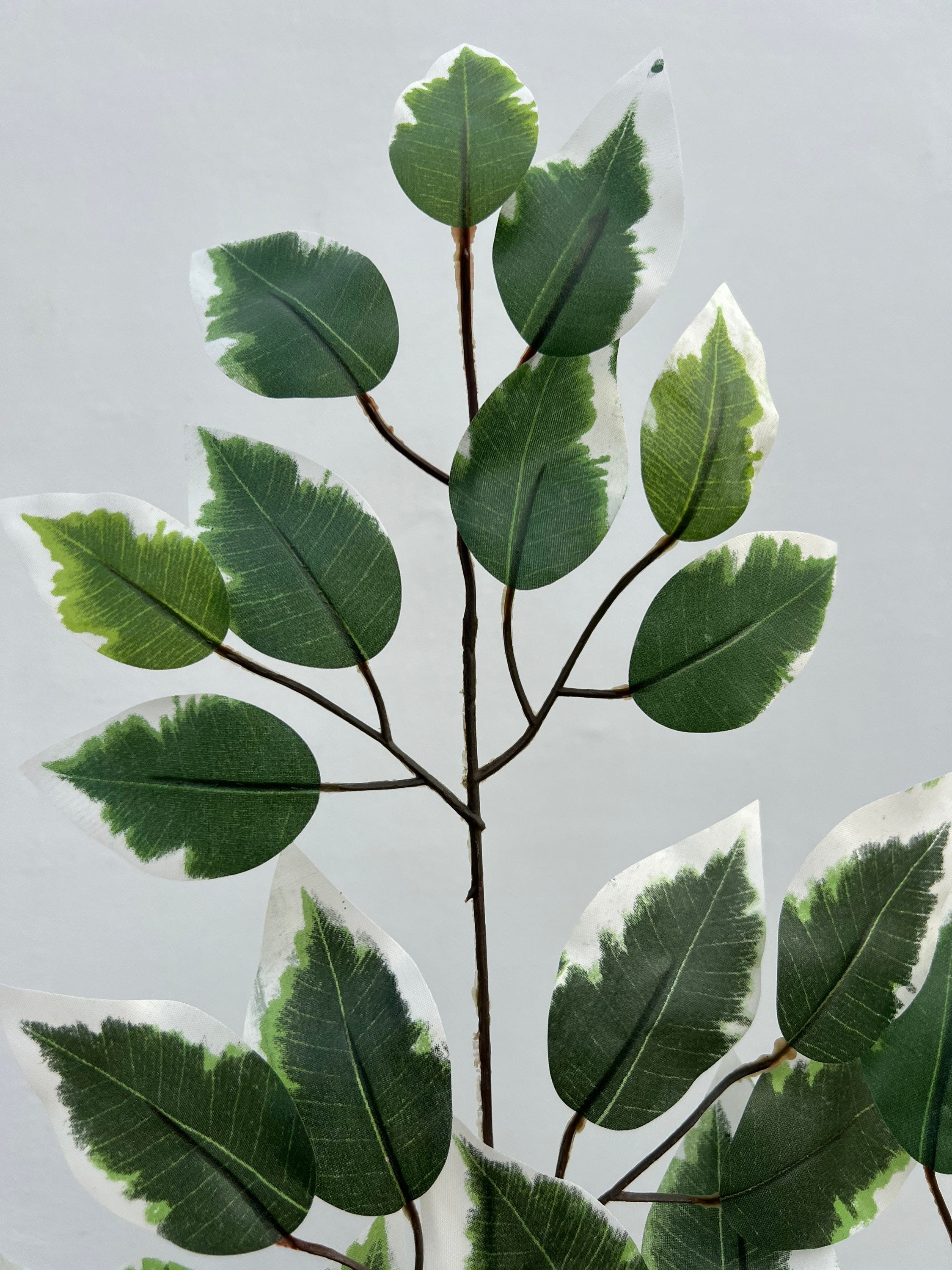 Artificial Variegated Ficus Spray Greenery 23 Pack of 12, Ficus Wreath ...