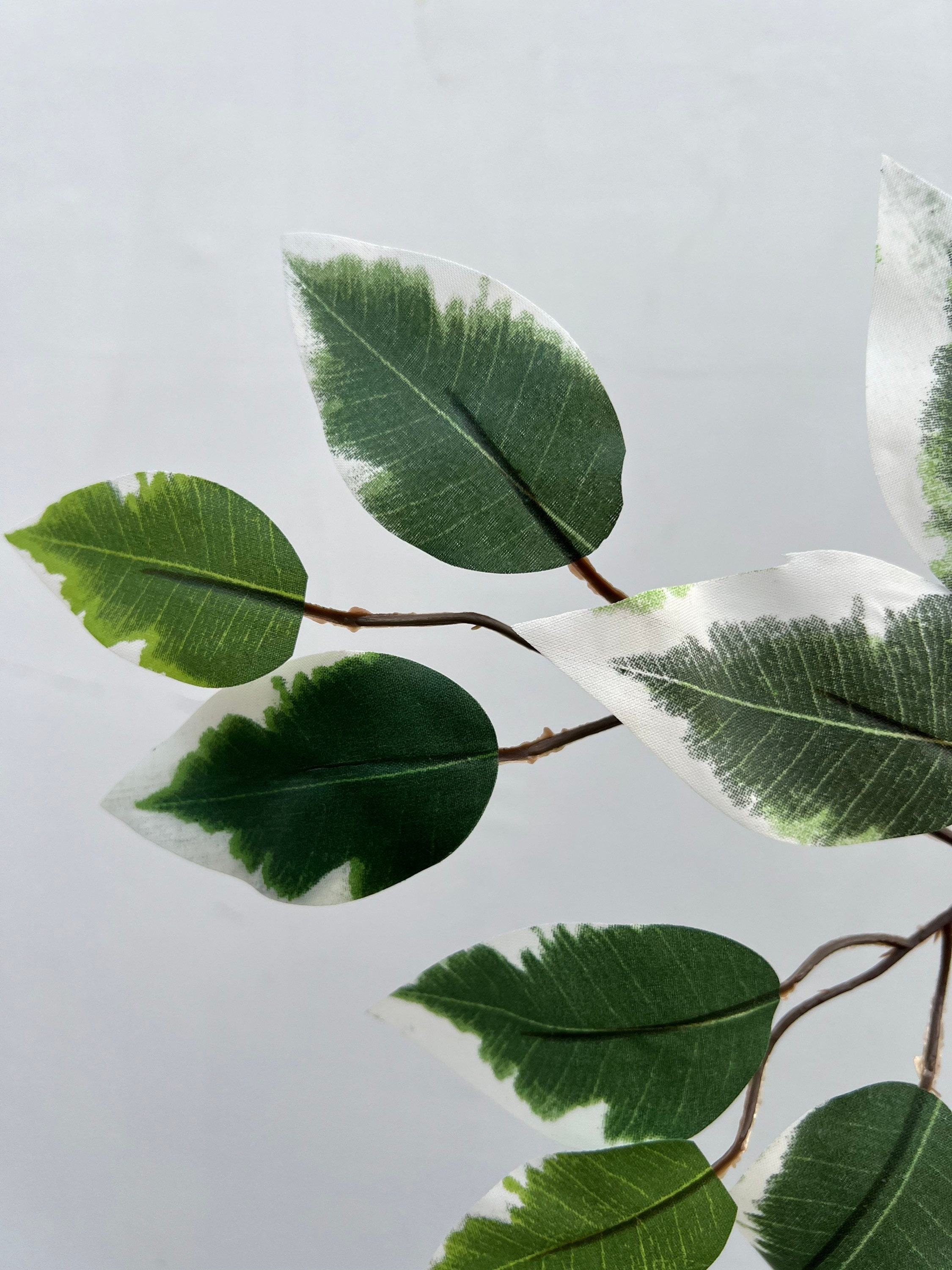 Artificial Variegated Ficus Spray Greenery 23 Pack of 12, Ficus Wreath ...