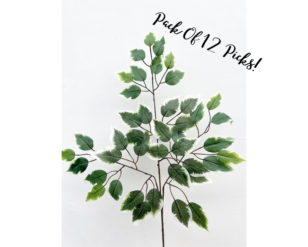 Artificial Variegated Ficus Spray Greenery 23" Pack of 12, Ficus Wreath Filler, Floral Filler ...