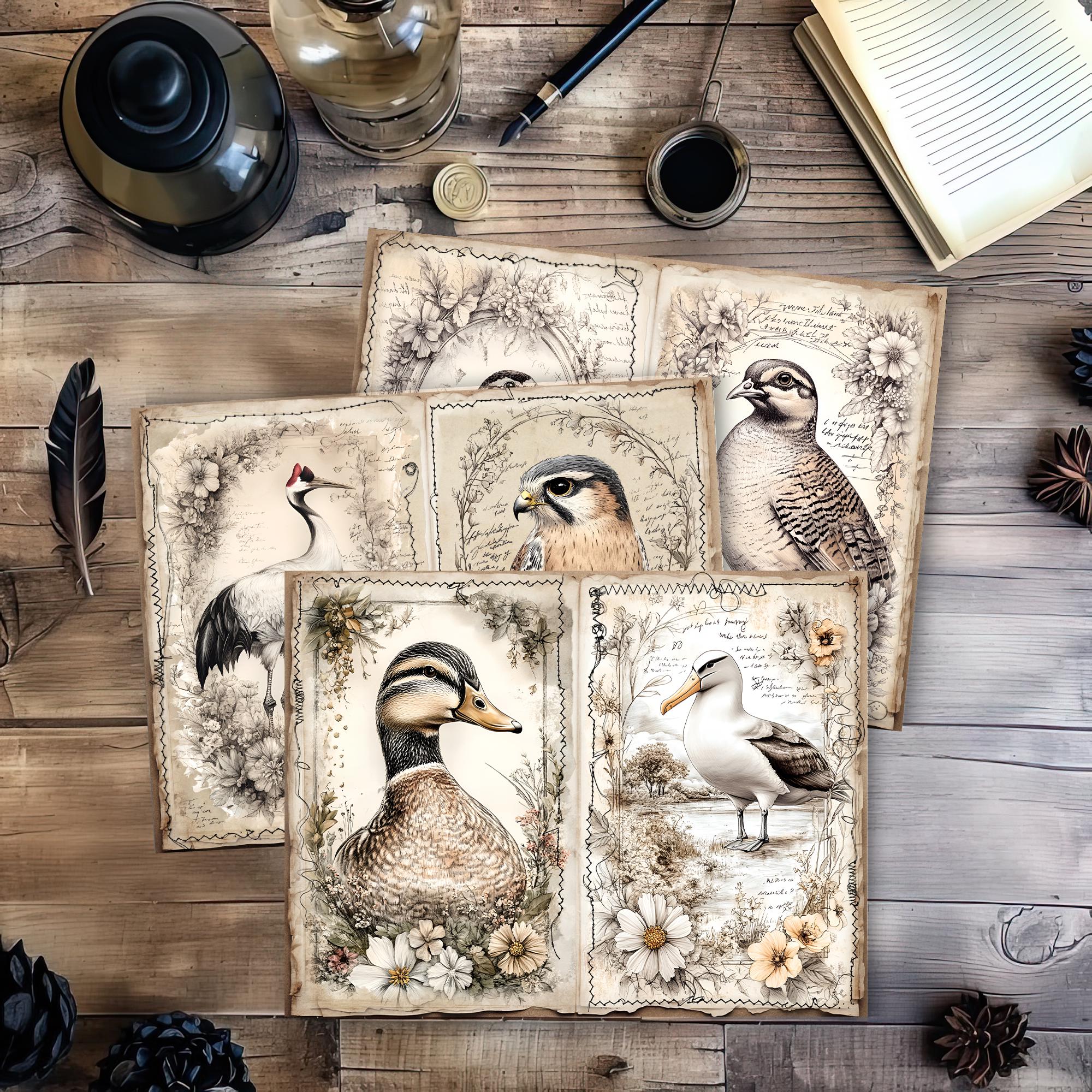 Bird Watcher Junk Journal Pages Vol 3 | Digital Download, Vintage Paper ...
