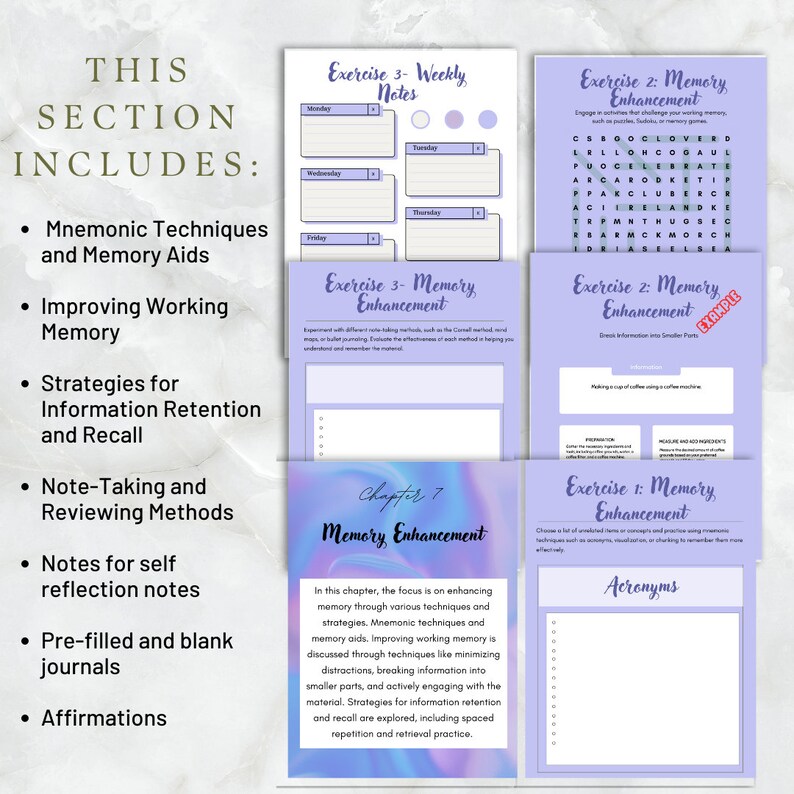 Executive Dysfunction Workbook Executive Functioning Worksheets Wheel ...