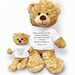 Memory Bear, Sympathy Teddy Bear, Memory Teddy Bear, Loss of Loved One ...