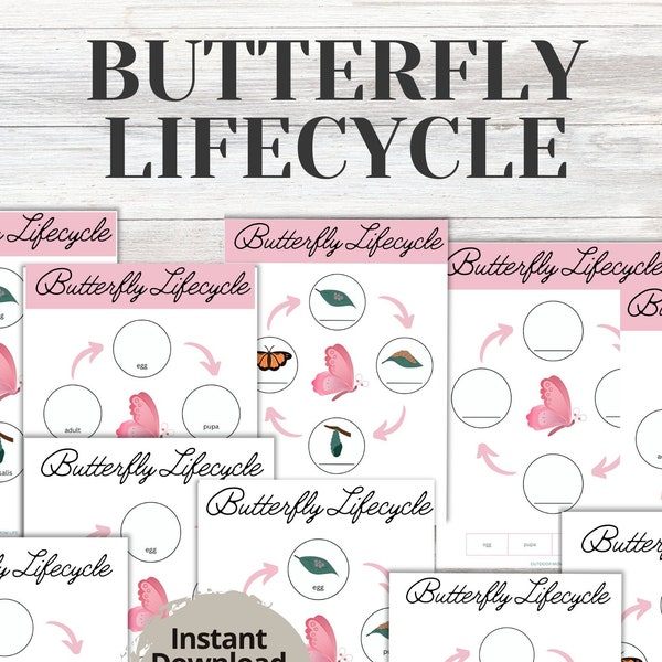 HONEYBEE LIFECYCLE PRINTABLE 8 Pages Color Metamorphosis Printable ...