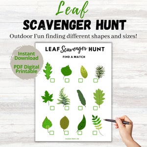 LEAF SCAVENGER HUNT | Scavenger Hunt Printable | Outside Nature ...
