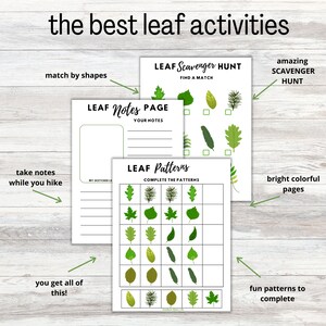 Leaf Activity Pack | Scavenger Hunt, Coloring Page (PDF Pattern) - Etsy