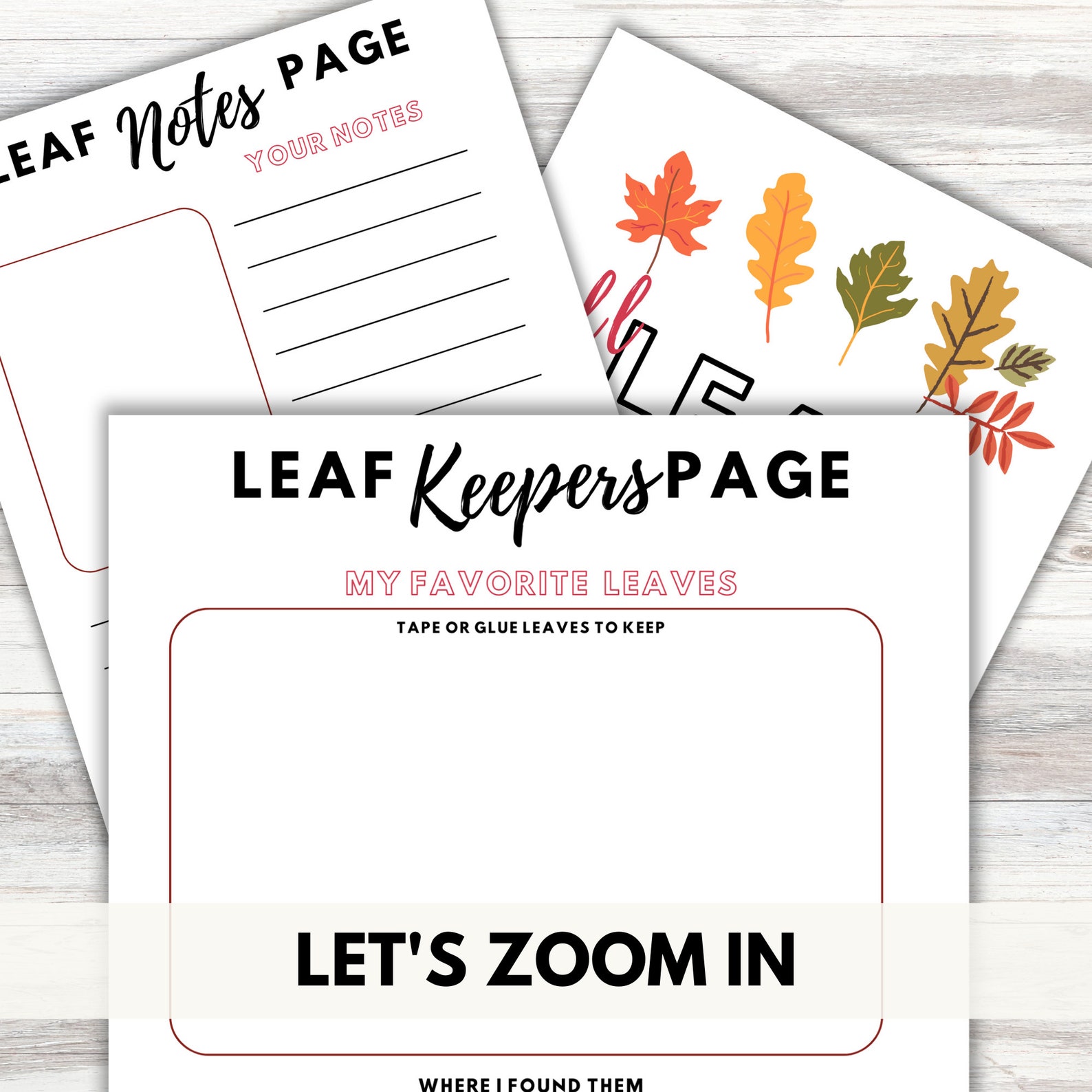 FALL LEAF ACTIVITY Pack | Fall Leaf Scavenger Hunt | Nature Printable ...