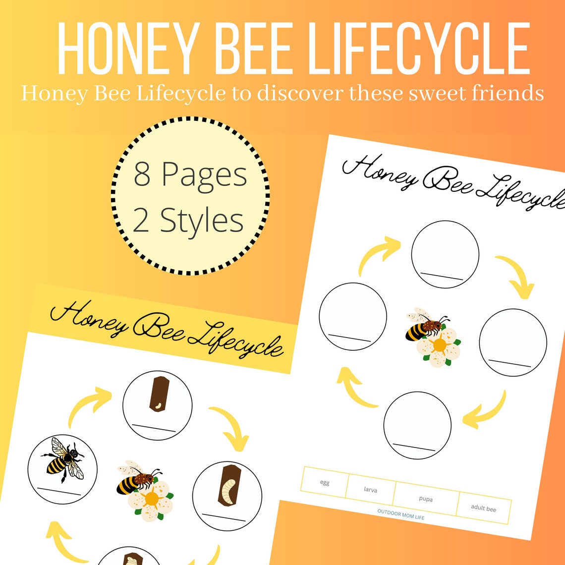 HONEYBEE LIFECYCLE PRINTABLE 8 Pages Color Metamorphosis Printable ...
