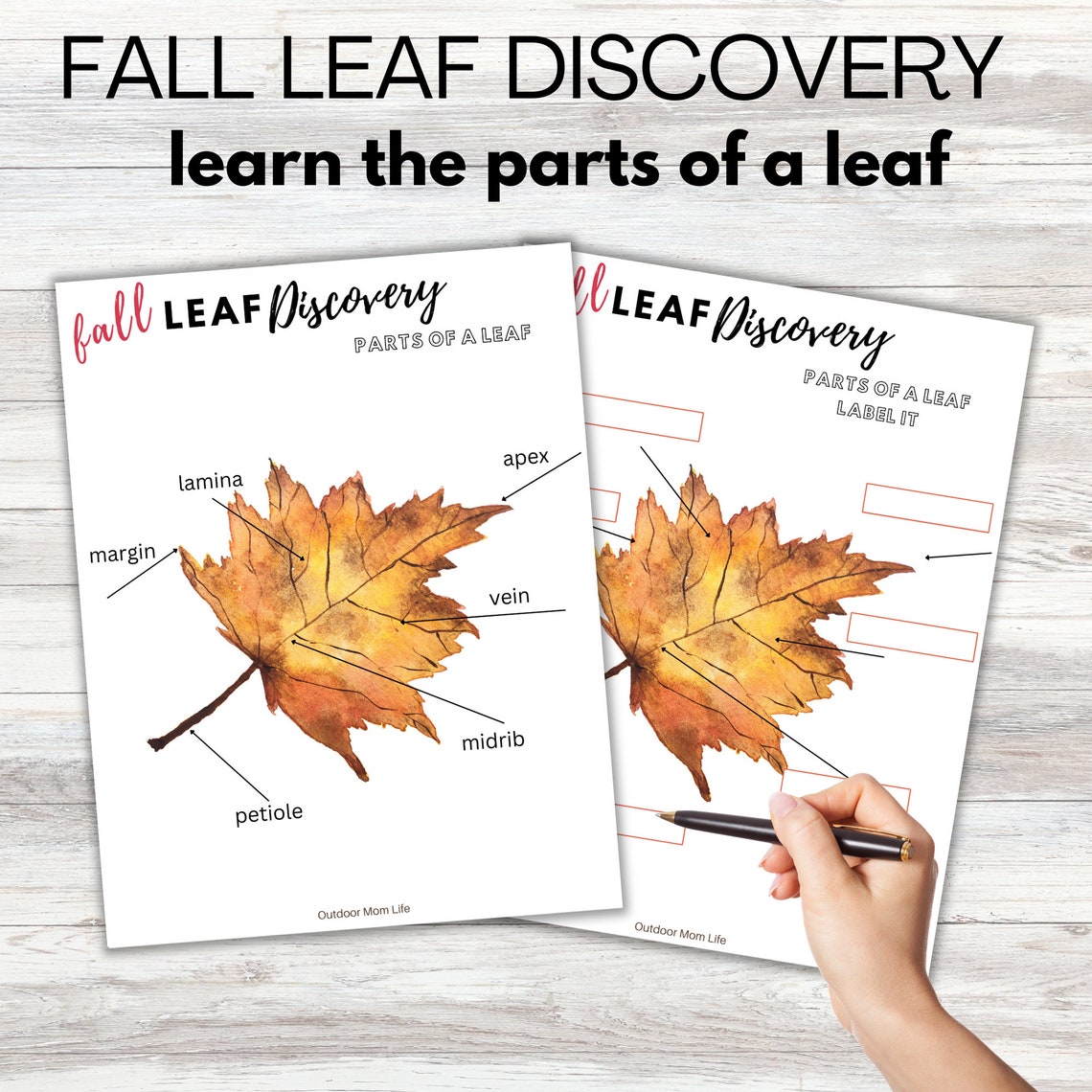 FALL LEAF ACTIVITY Pack | Fall Leaf Scavenger Hunt | Nature Printable ...
