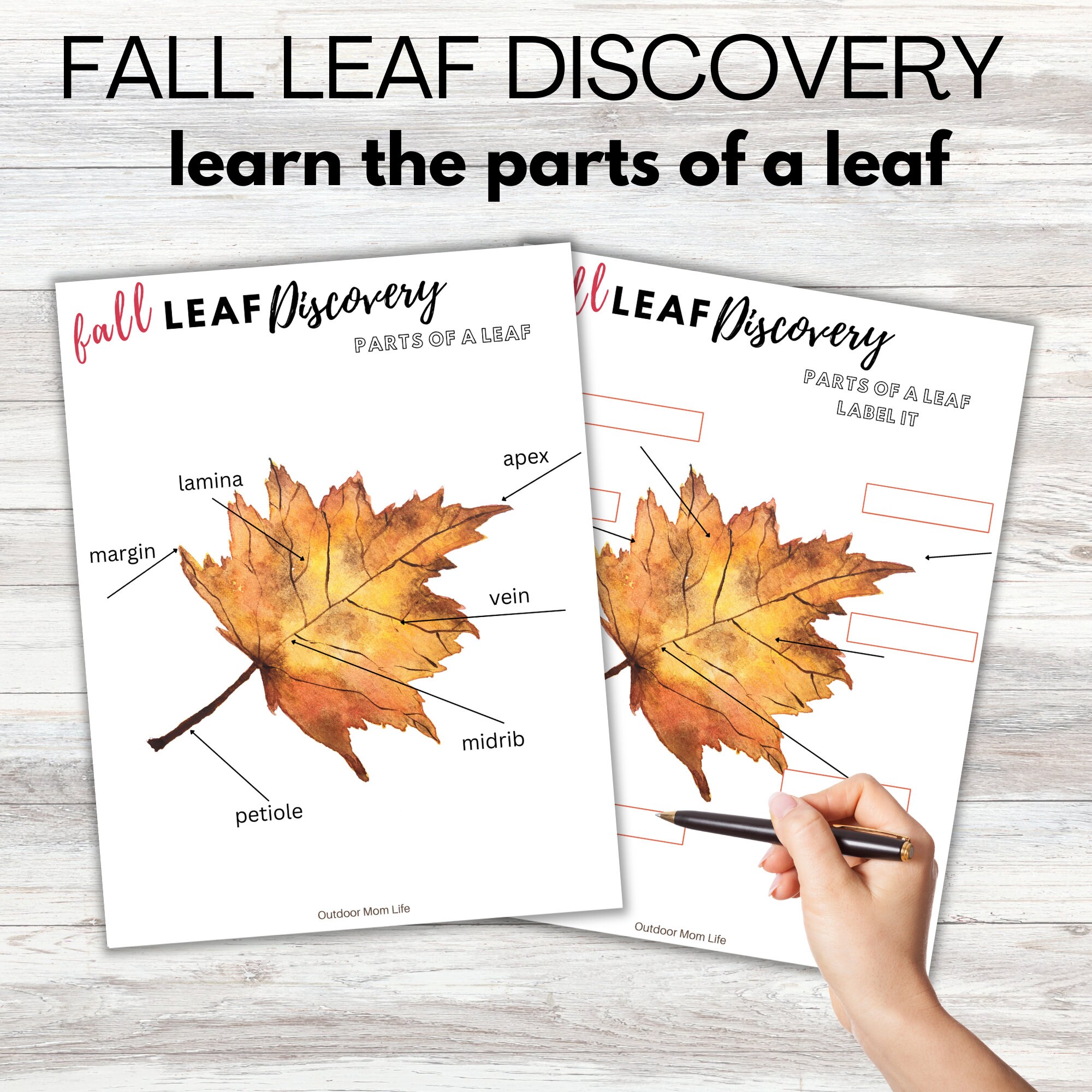 FALL LEAF ACTIVITY Pack Fall Leaf Scavenger Hunt Nature Printable Parts ...