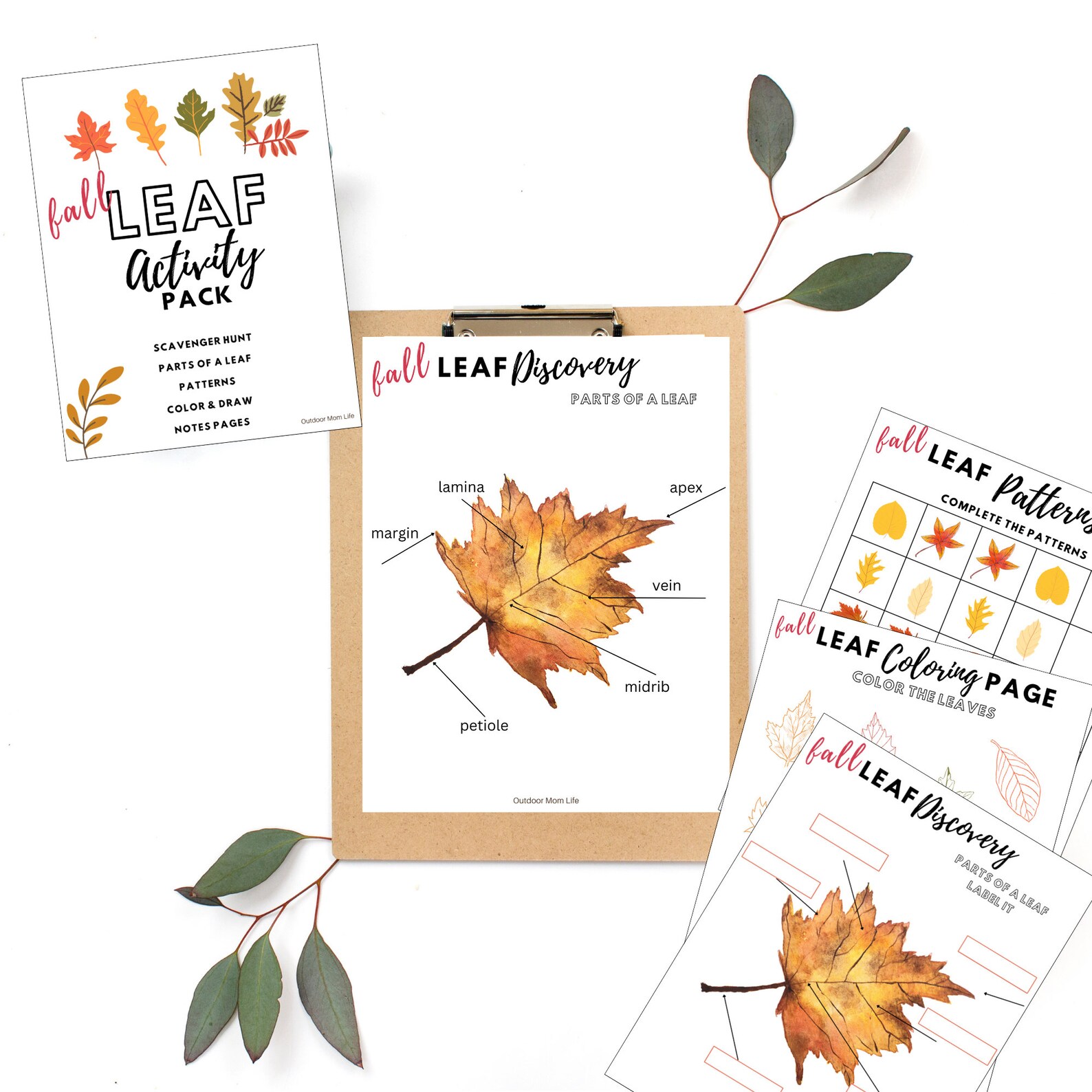 FALL LEAF ACTIVITY Pack | Fall Leaf Scavenger Hunt | Nature Printable ...