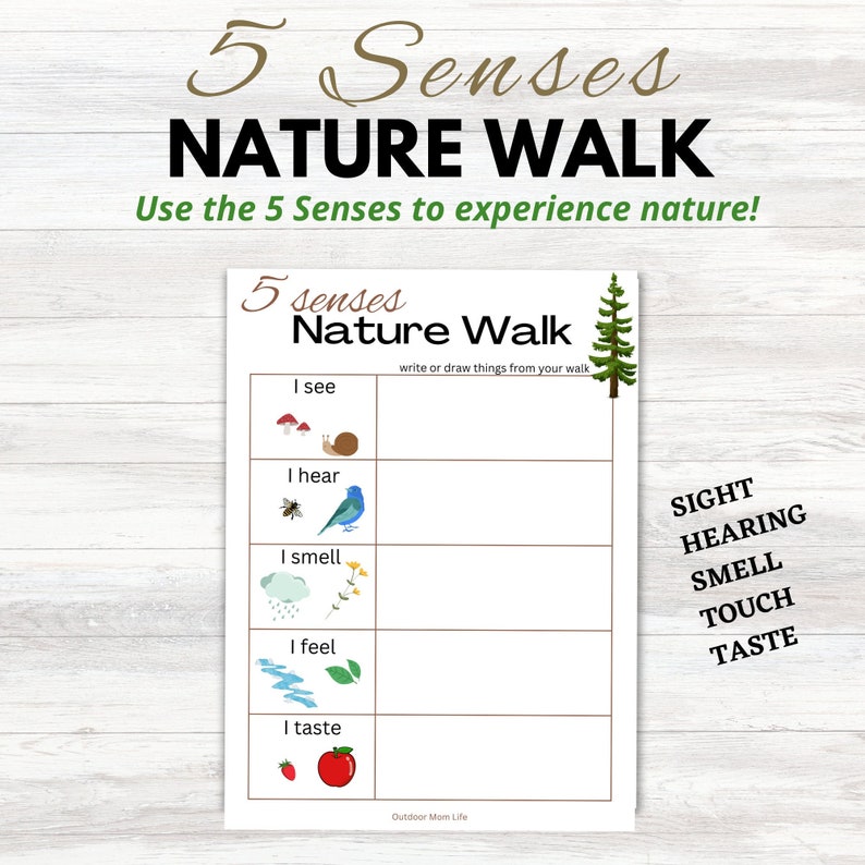 5 SENSES NATURE WALK | Scavenger Hunt Printable | Outside Sensory ...