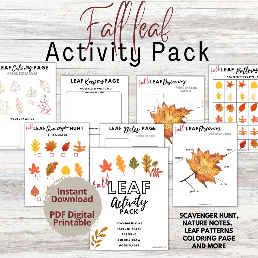 FALL LEAF ACTIVITY Pack | Fall Leaf Scavenger Hunt | Nature Printable ...