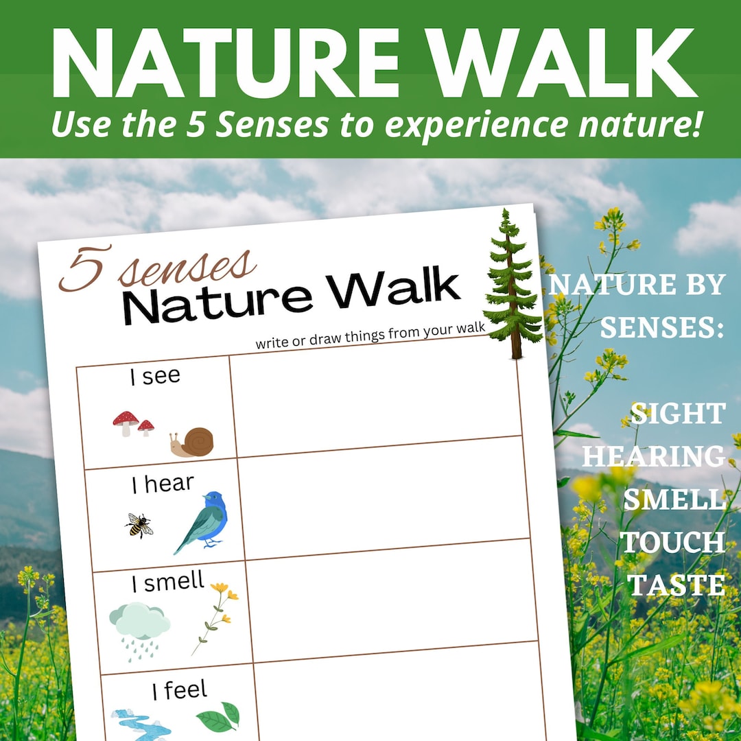 5 Senses Nature Walk Scavenger Hunt Printable Outside - Etsy