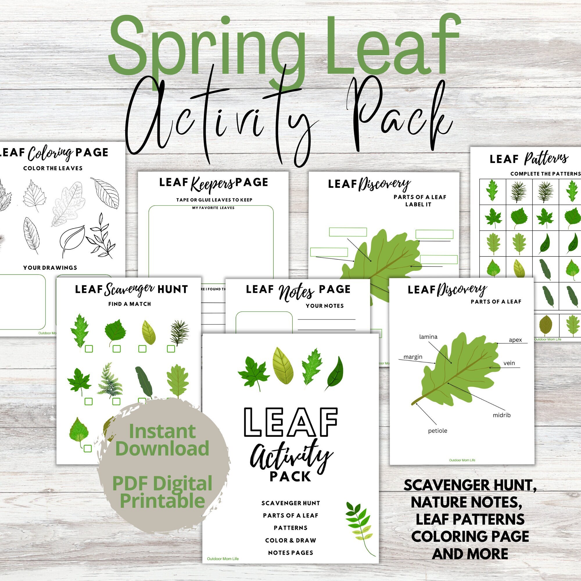 LEAF ACTIVITY PACK | Leaf Scavenger Hunt | Nature Printable | Parts of ...