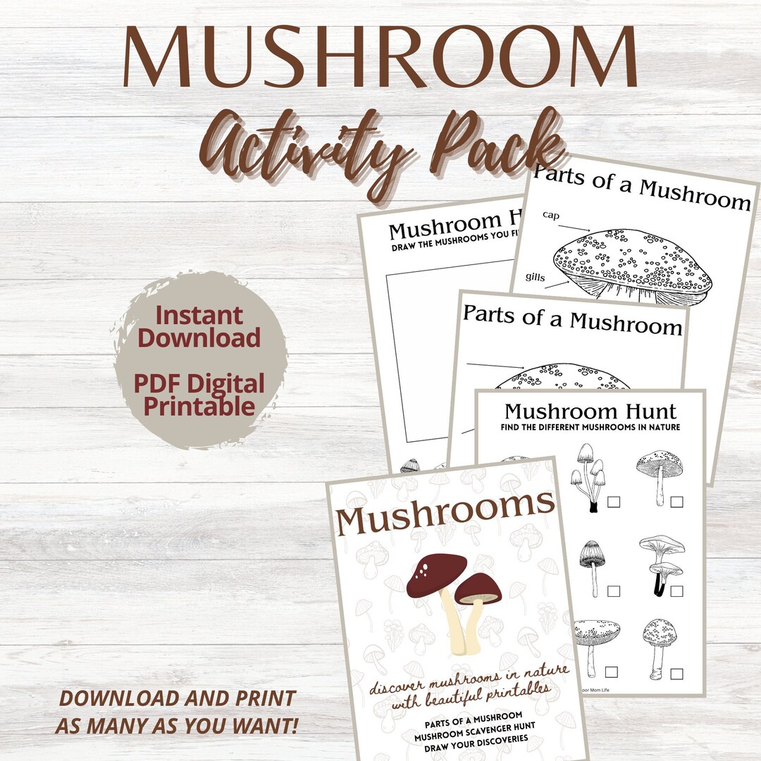 Mushroom Activity Pack | Nature Scavenger Hunt, Drawing Pages (PDF) - Etsy