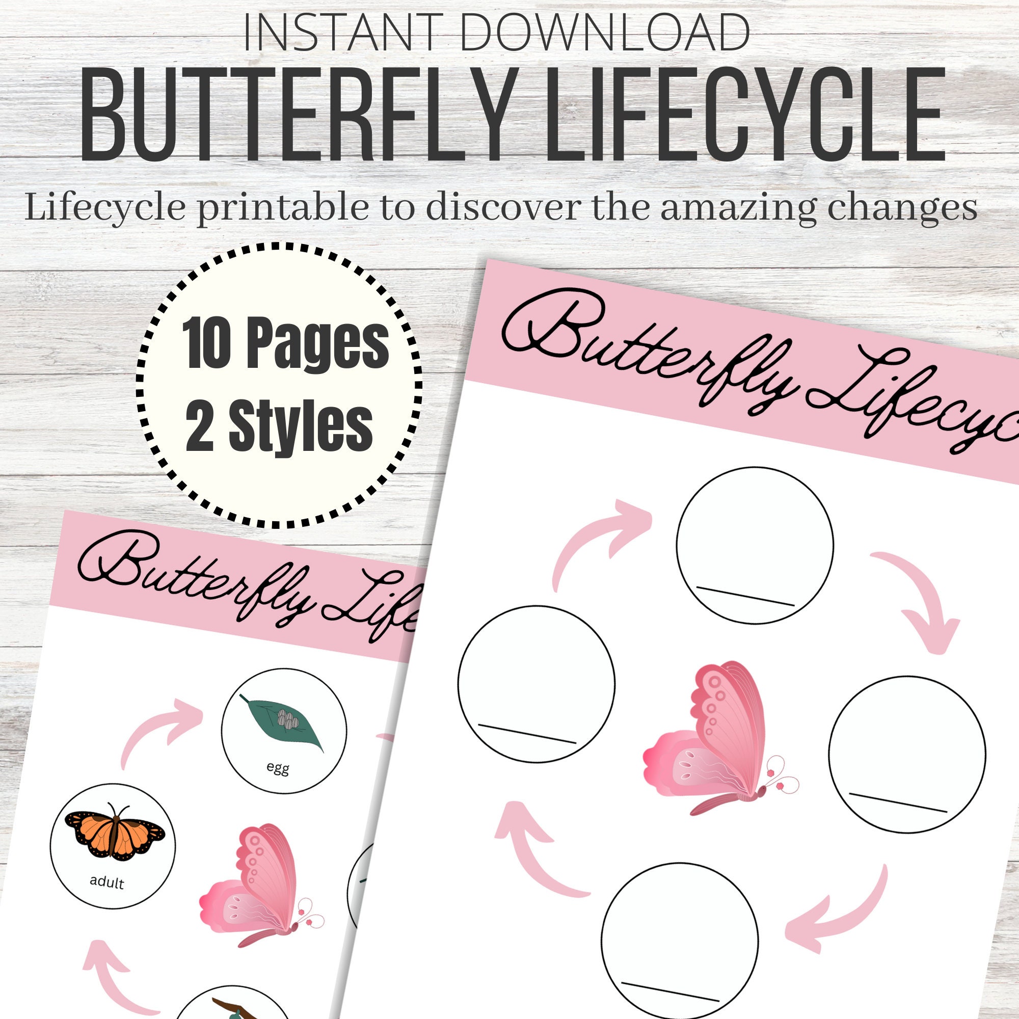BUTTERFLY LIFECYCLE PRINTABLE | 10 Pages Color | Insects Lifecycle ...