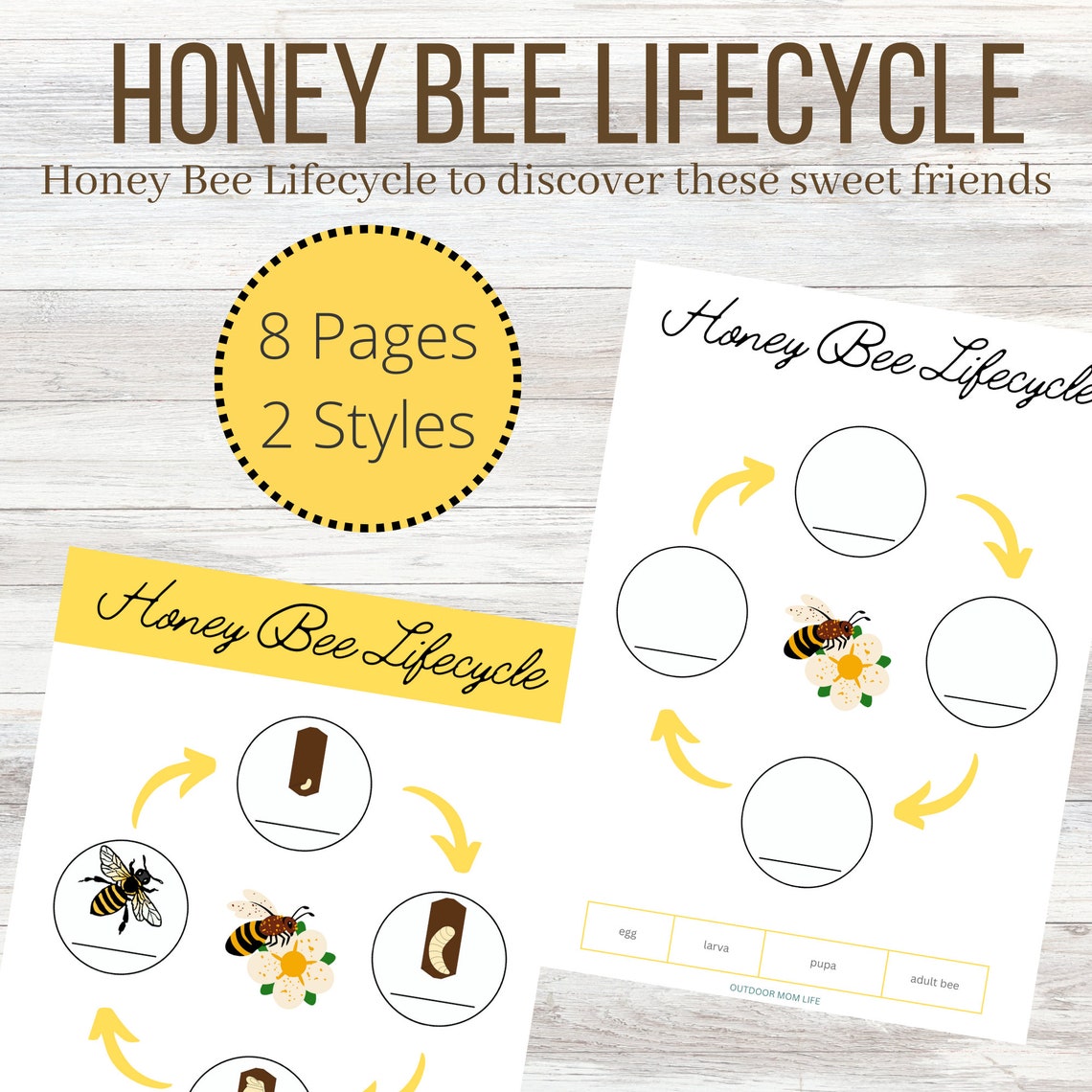 HONEYBEE LIFECYCLE PRINTABLE 8 Pages Color Metamorphosis Printable ...
