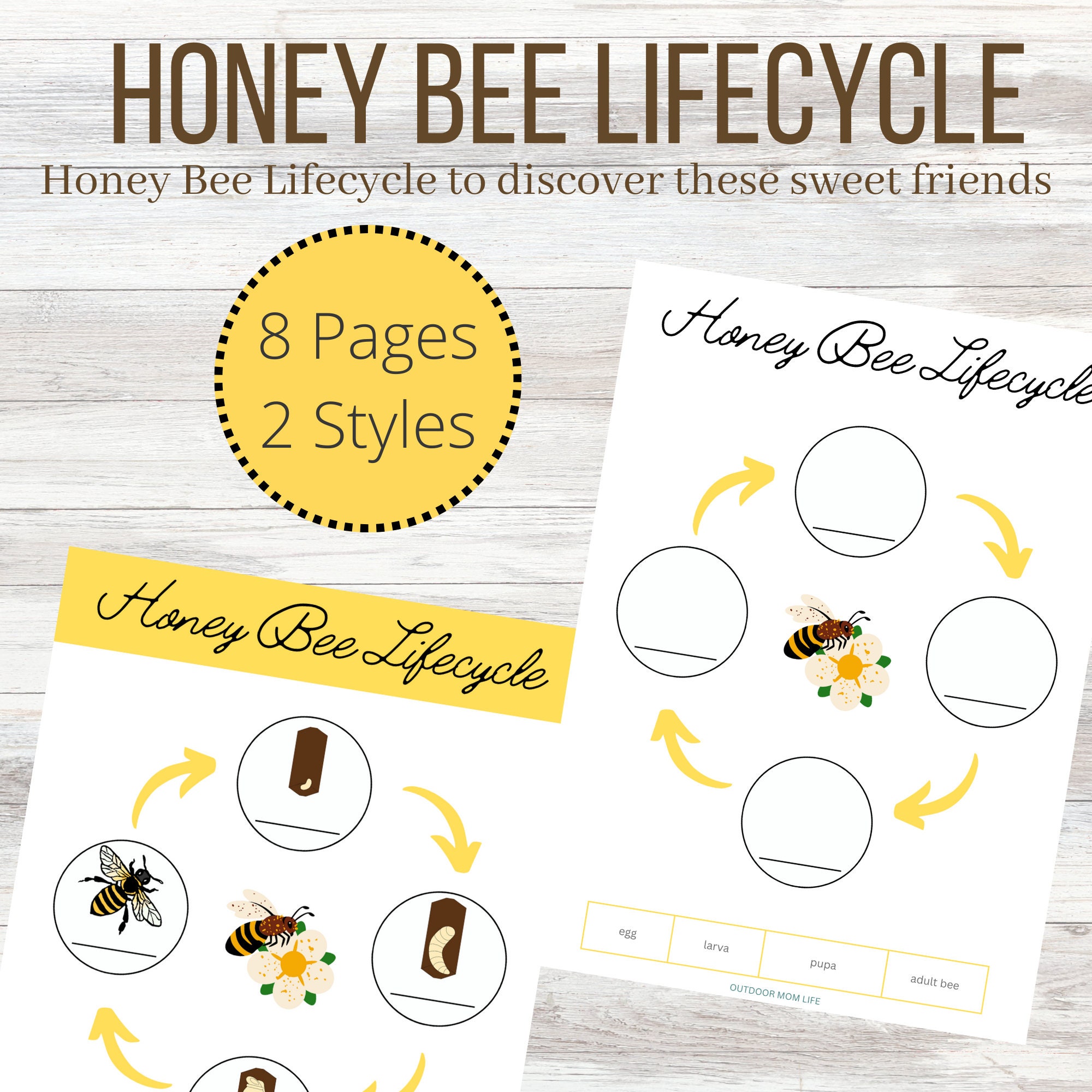 HONEYBEE LIFECYCLE PRINTABLE | 8 Pages Color | Metamorphosis Printable ...