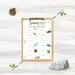 SENSORY NATURE WALKS | Sensory + Activity Printable | Sensory Nature ...